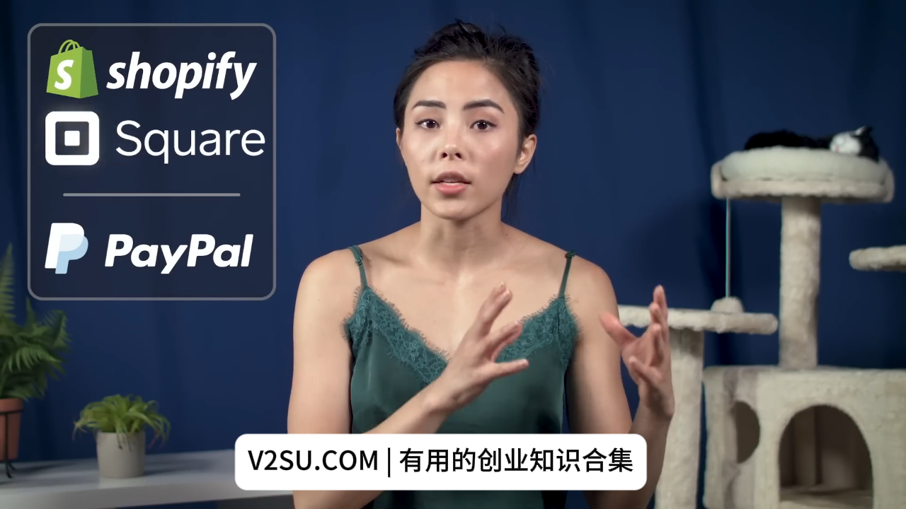 【图文版】Crash Course|商业速成课：创业P15记录你的钱 | V2SU创业知识库