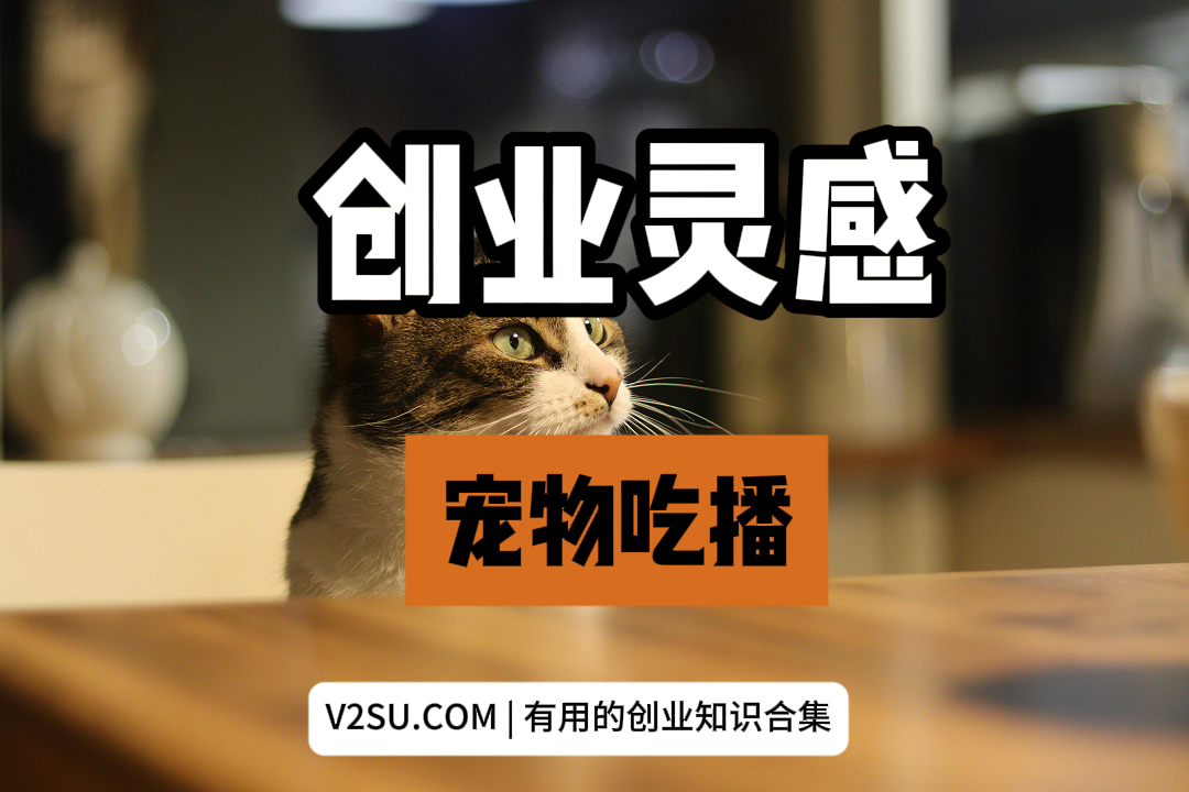 2025创业项目兴趣爱好赛道-研究关键词 | 创业方向选择 | V2SU